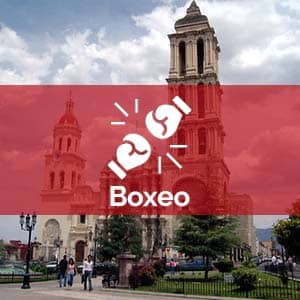 Las 7 Mejores Escuelas de BOXEO EN SALTILLO del 2025