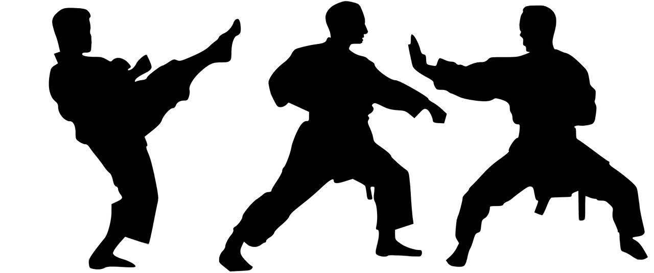 KÁRATE La guía definitiva sobre este GRAN deporte