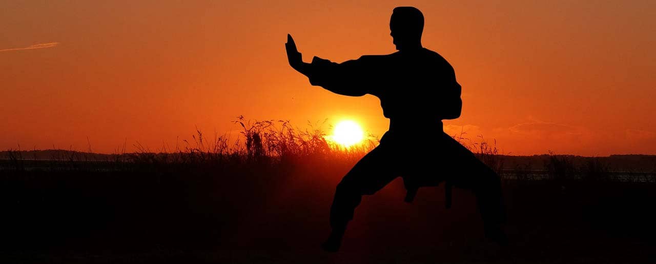 KÁRATE La guía definitiva sobre este GRAN deporte